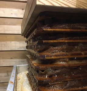 A beginners guide to cider terminology - Learn & Discover